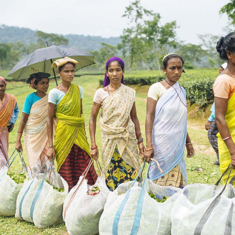 About Us - Tea India | Chai Moments - Authentic Indian Teas